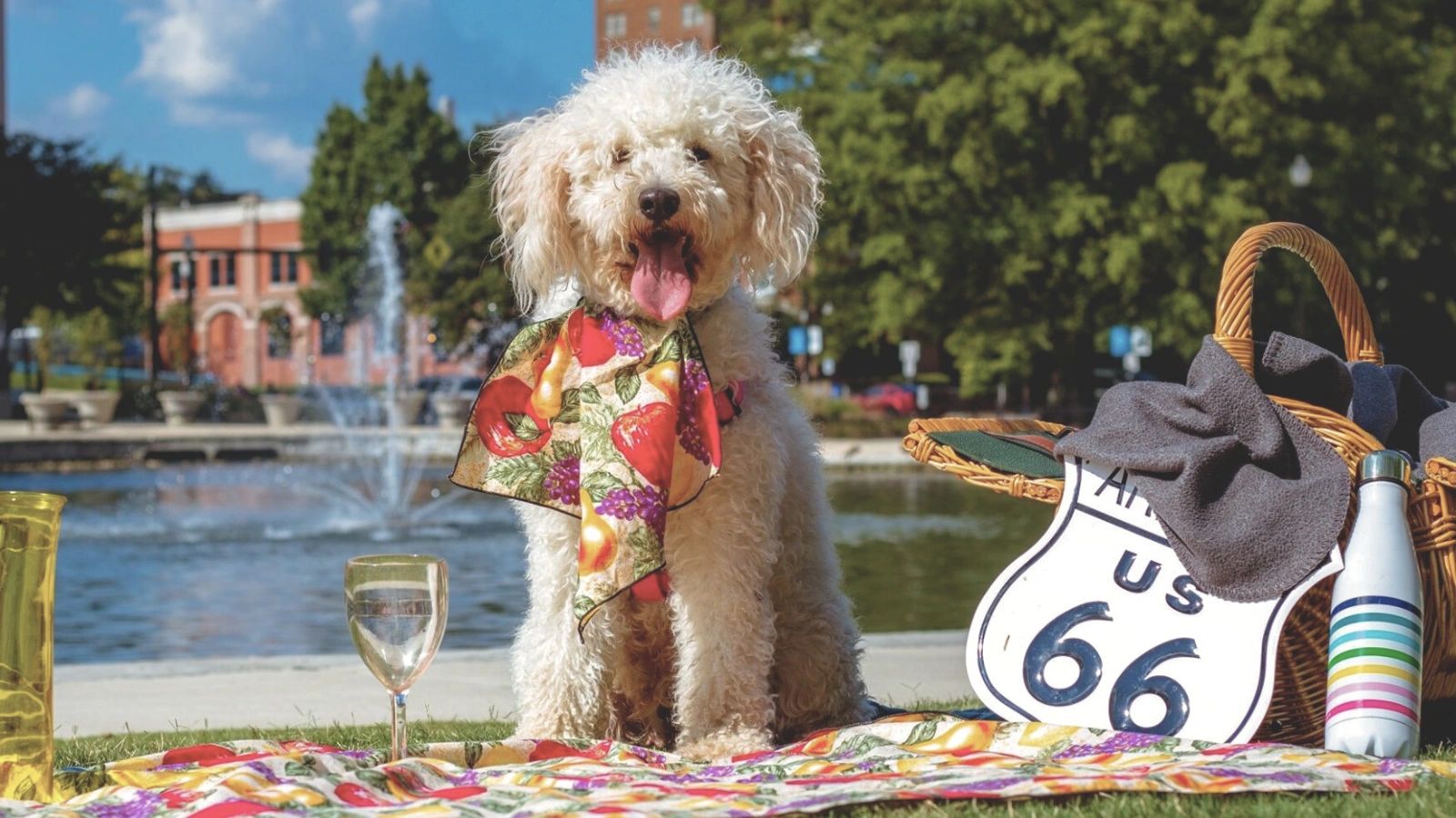 Should Our Pets Attend Our Memorial?